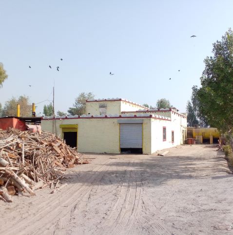 Layyah Poultry Protein